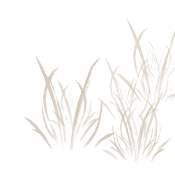 grass